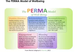 Using the PERMA Model (Positive Psychology) to create a happier life.